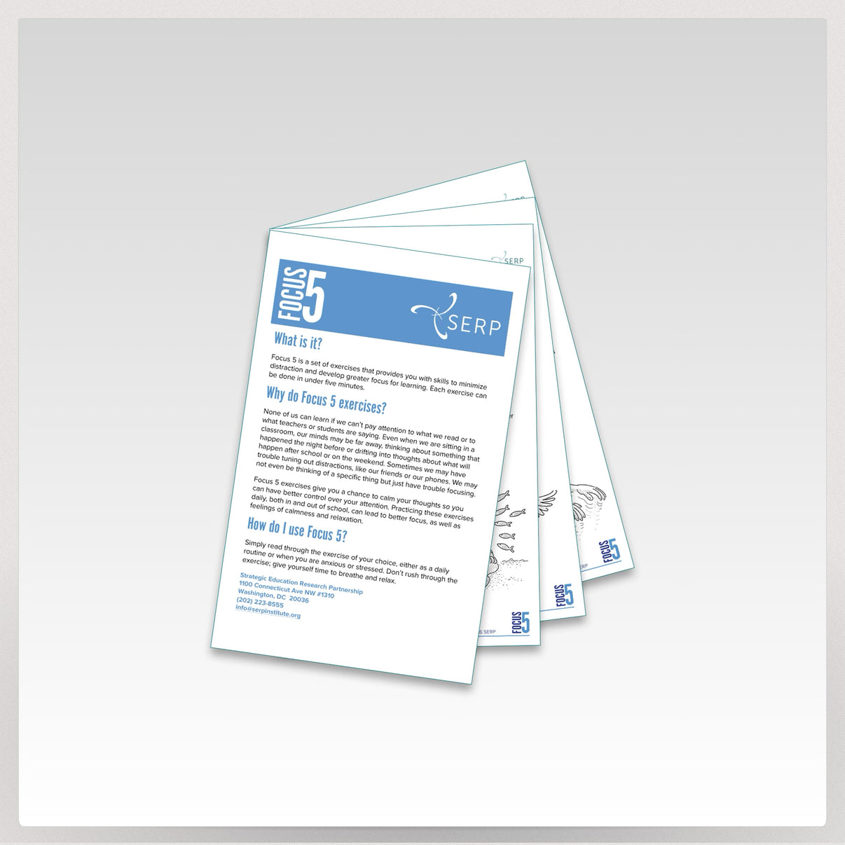 Focus 5 Cards – SERP Institute Store