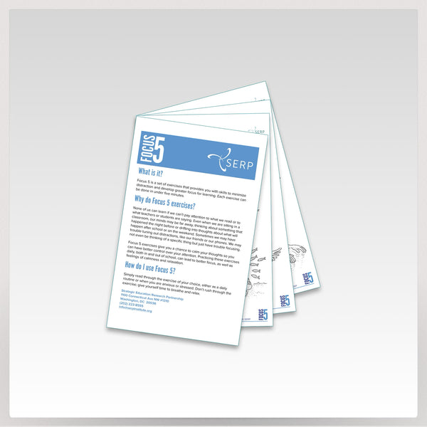Focus 5 Cards – SERP Institute Store
